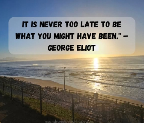 Home - HiltonVillage.co.za